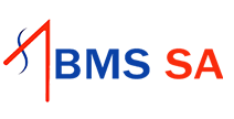 BMS ACADEMY